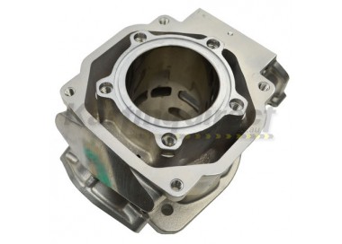 Rotax Cylinder Junior Max-Cnc 2024 onwards Rotax Part No.: 413530
