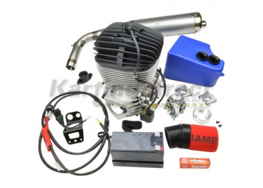 IAME KA100 TAG Engine Kit IAME Reed Jet